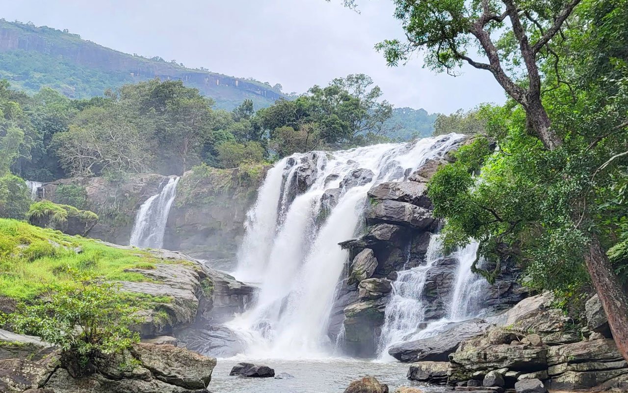 Chinnar Wildlife Sanctuary Tour from Coimbatore - TripGo India